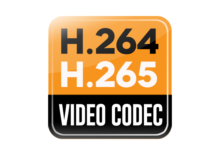 DVR AHD 4K H265. Hybrid video recorder for AHD BNC cameras | DSE CCTV ...